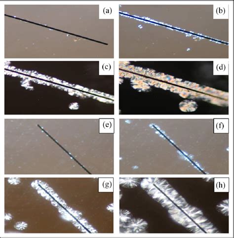 Figure 1 From Morphology Design Of Isotactic Polypropylene Composites