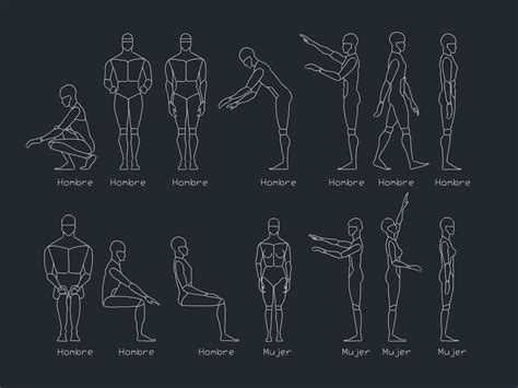 Human Figures For Determining Anthropometry Download Drawings Blueprints Autocad Blocks 3d