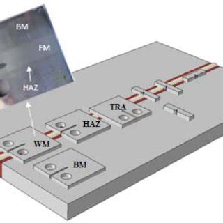 Schematic Representation Of The Sampling Process Download Scientific Diagram