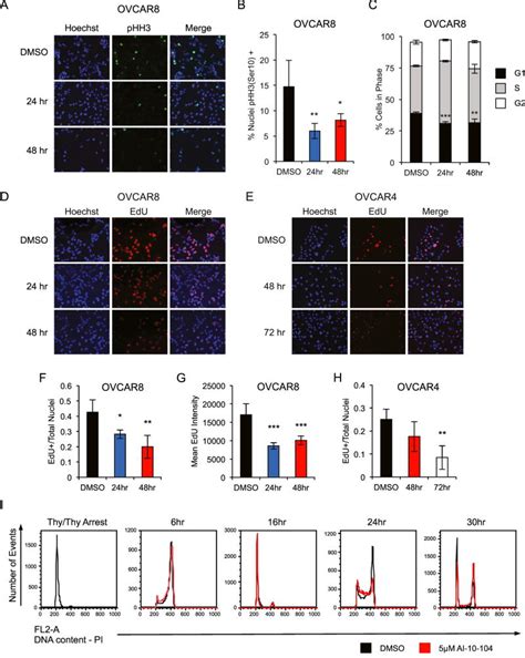 Small Molecule Inhibition Of The Cbfβ Runx Interaction Decreases Ovarian Cancer Growth And