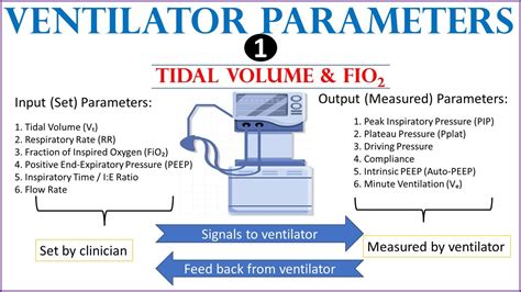 Ventilator Parameters And Settings Tidal Volume Fio2 Youtube