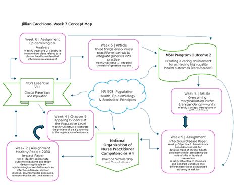 Concept Map Week 7 Jillian Cacchione Week 7 Concept Map Nr 503