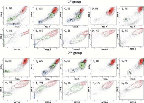 Bivariate Flow Cytometric Histograms Of Five Different Types Of Maize