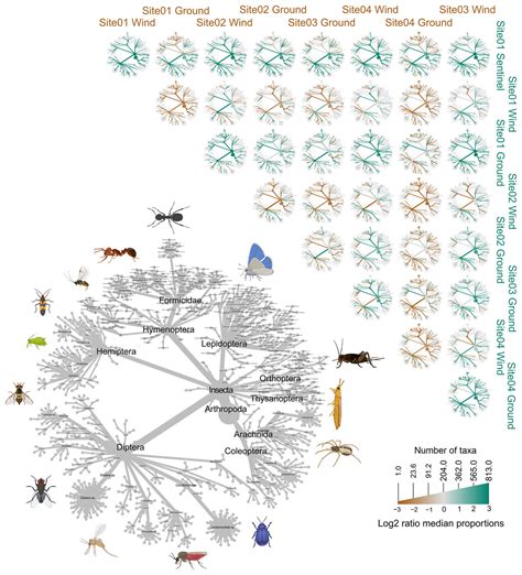 Non Destructive Insect Metabarcoding For Surveillance And Biosecurity