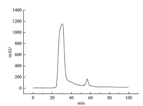 Gel Chromatography Of Lectin Extracted By An Aqueous Two Phase System
