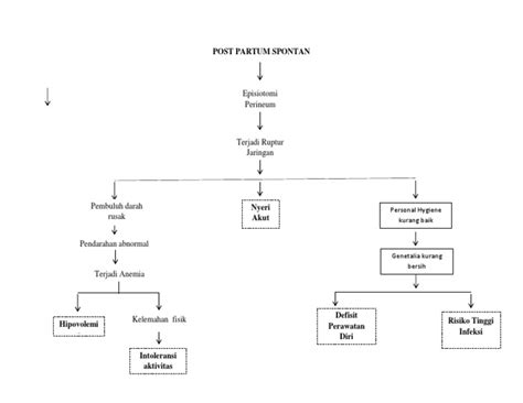 Pathaway Post Partum Spontan Pdf