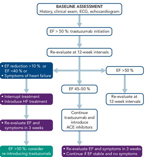 Proposed Follow Up Algorithm For Patients Receiving Trastuzumab Download Scientific Diagram