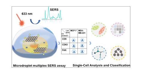 Single Cell Analysis And Classification According To Multiplexed
