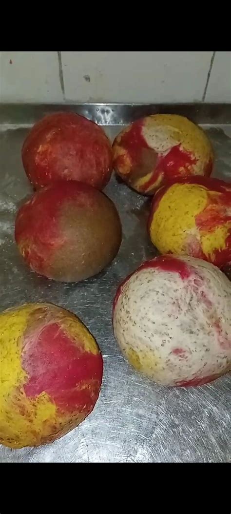 Ahmed Elhady On Linkedin Integral Multicolor Bread🤔