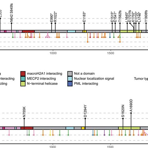 Patient And Mutation Type Distribution In Our Compiled Dataset A