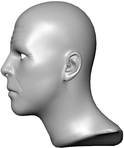 Result Of The Aging Simulation Of The Base Model Download Scientific