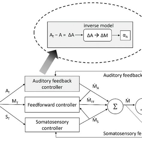Schematic Of The Diva Model Adapted From Guenther 2016 The Inset