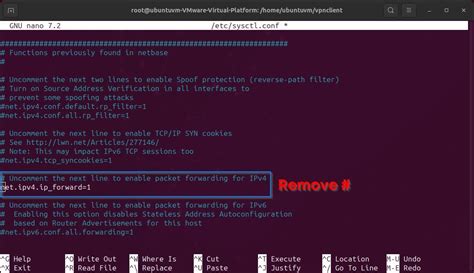 Vpn Softether Guia Completo De Configuração Windows E Linux