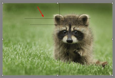 How To Crop In Krita Step By Step Guide Imagy