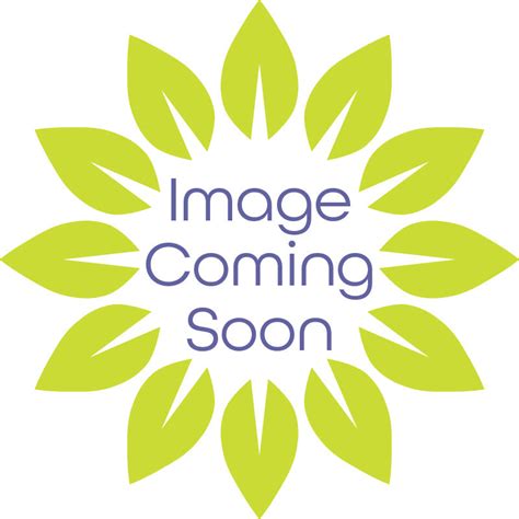 Dwarf American Cranberry Gardentap