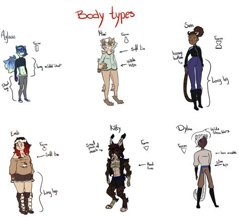 Body Types Of Oc By Smerup100 On Deviantart