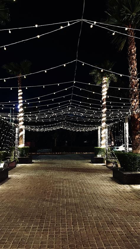 Rahul Setia On Linkedin Positiveworkenvironment Corporateculture Sustanability