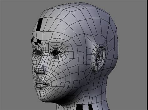 Human Head Modeling Blender Artists Community