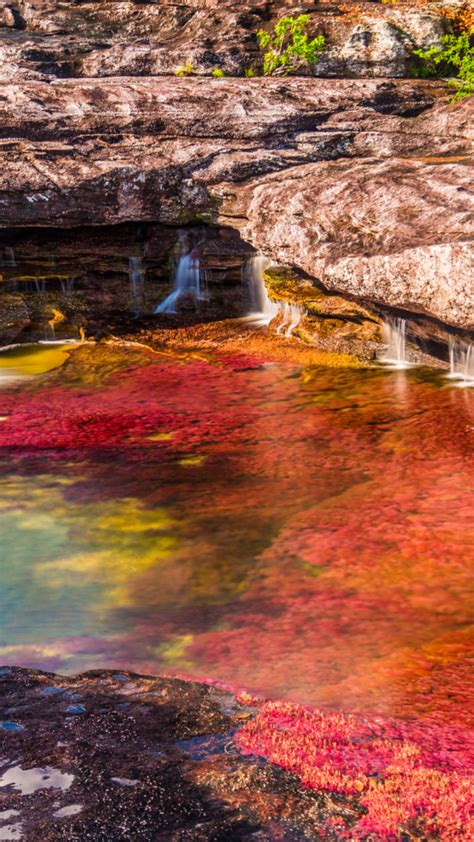 Two Finger Scroll Not Working On Your Windows Laptop Here Are 10 Fixes You Can Try