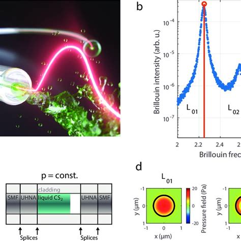 A Artists View Of The Licof Sample With Laser B Measured Spectrum Download Scientific