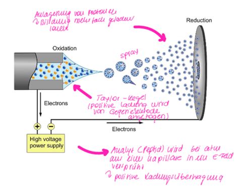 6 Massenspektrometrie Karteikarten Quizlet