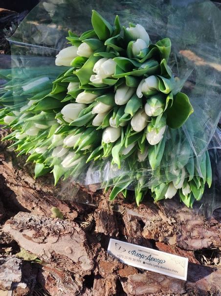 Флор Декор | Флор Декор | ВКонтакте