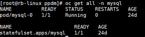 validating the backup of namespaces on the red hat openshift cluster