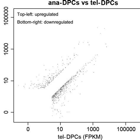 Schematic Representation Of The Degs Between Ana Dpcs And Tel Dpcs Of Download Scientific