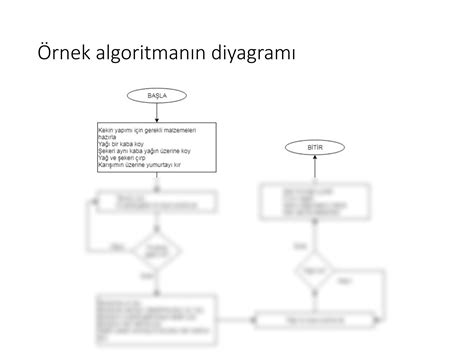 SOLUTION Algoritma Ve Programlamaya Giris Studypool