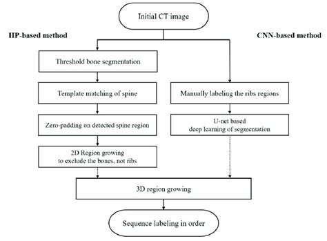 flowchart of rib sequence labeling processes using iip based method and download scientific