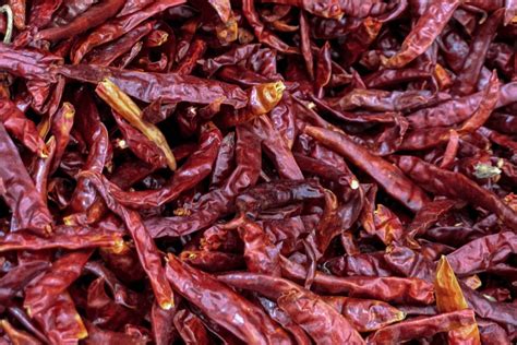 Japones Pepper Spicy Dried Asian Chile Pepper Pepperdodo