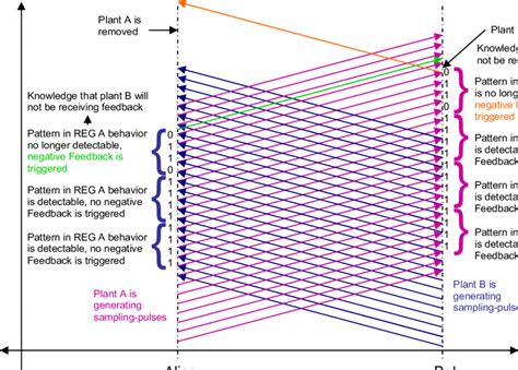 Set Up For A Potential Intervention Paradox Using Two Entangled Systems