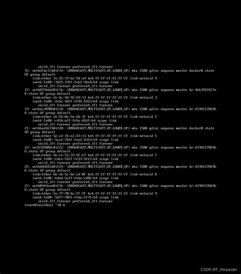 ifconfig 或者ip addr显示太多的垃圾信息 如何查看前几行 ifconfig显示太多看不到上面的 csdn博客