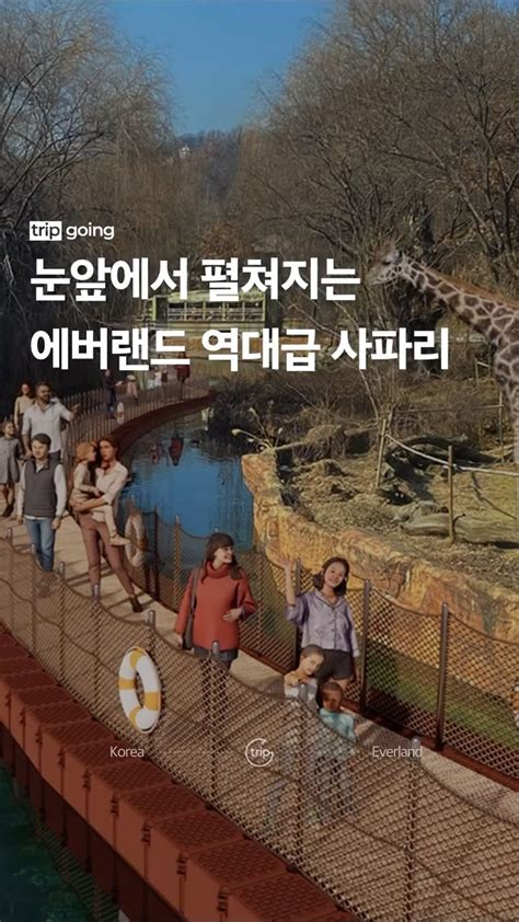 트립고잉 Tripgoing 에버랜드witheverland가 새로운 사파리 탐험 리버 트레일 어드벤처‘를 오는 3월 21일금부터 운영합니다🦒 사파리월드와