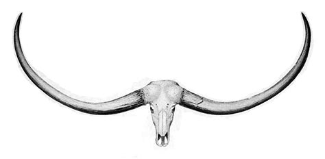 Anthropologists Create Computational Model To Predict Likelihood Of