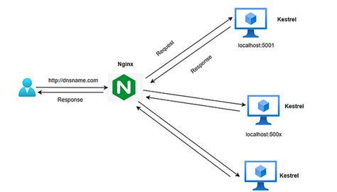 Nginx Use As A Reverse Proxy In The Domain Of Web Services By