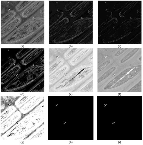 Sparse Weighted Constrained Energy Minimization For Accurate Remote Sensing Image Target Detection