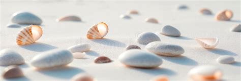 Horizontal Background Of Creamy White Sand Beach Dotted With Smooth Pebbles And Delicate