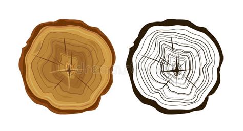 Cut Tree Icons Tree Rings Illustration Stock Illustration Illustration Of Concentric Natural