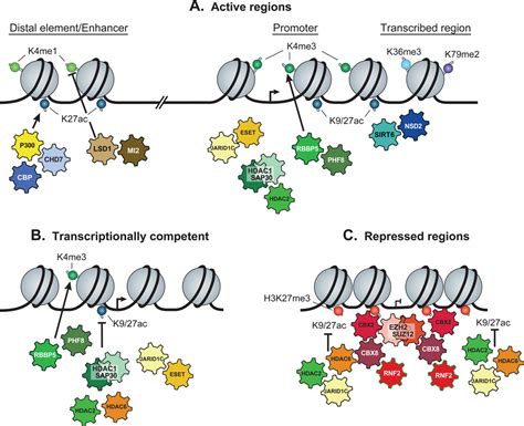 Combinatorial Patterning Of Chromatin Regulators Uncovered By Genome