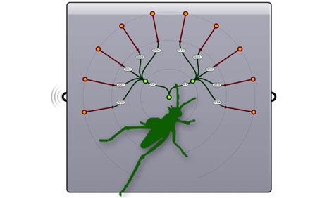 Grasshopper Fundamentals Algorithms And Data Structures Rhino3d