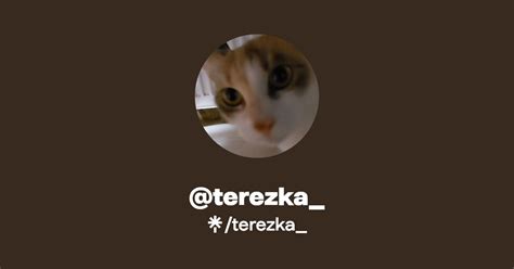 Terezka Listen On Spotify Linktree