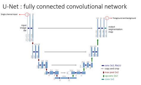 u net convolutional networks for biomedical image segmentation