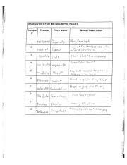 Lab 5 Pdf Course Hero