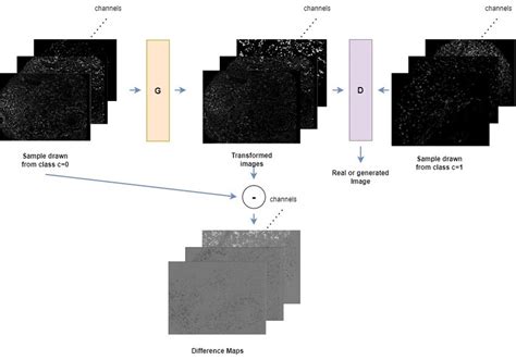 Cf Histogan Overview The Generator Function G Transforms Samples Drawn Download Scientific