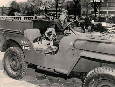Army Jeep Parts Inc Gypsy Task Force Comprising The 1st Battalion