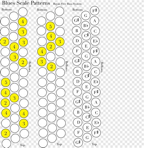 Button Accordion Note Layout At Lauren Fosbery Blog