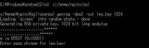 Windows下nginx配置ssl实现访问（包含证书生成）windows10 生成nginx证书 Csdn博客