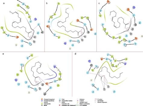 A Two Dimensional Image Of Fatty Acids Coupled To The Urease Enzyme A