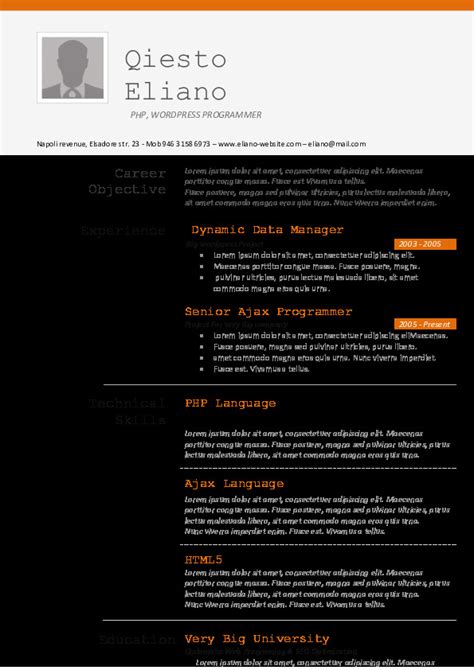 Programer Cv Template Pdfcoffeecom